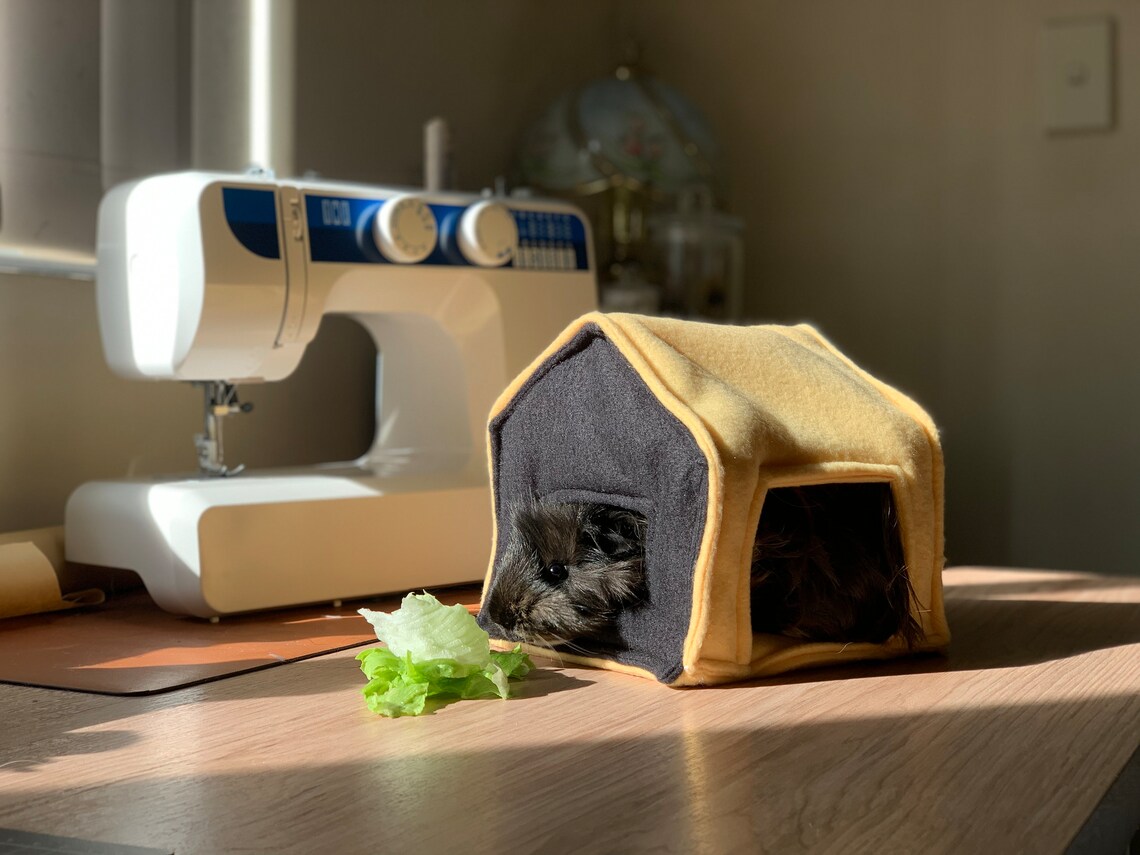 DIY Guinea Pig Tiny House Sewing Pattern - Etsy