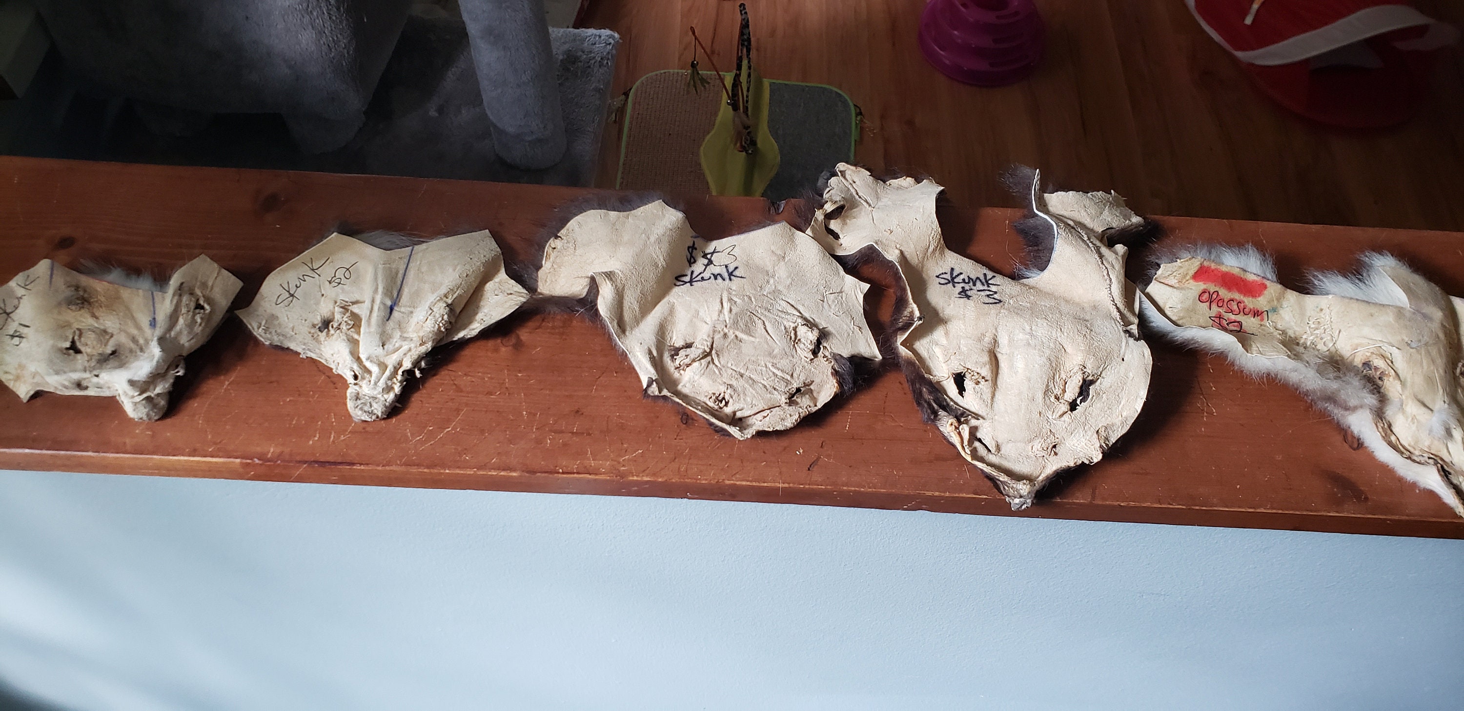 Tanned Craft Face Pelts Real Fur Skunk and Opossum - Etsy