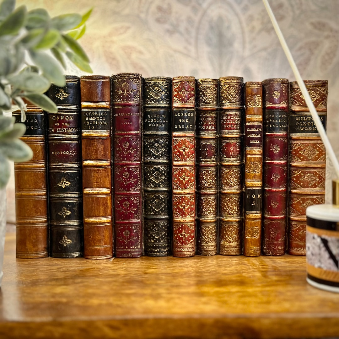 Faux Book Hideaway Shelf Panel - Etsy