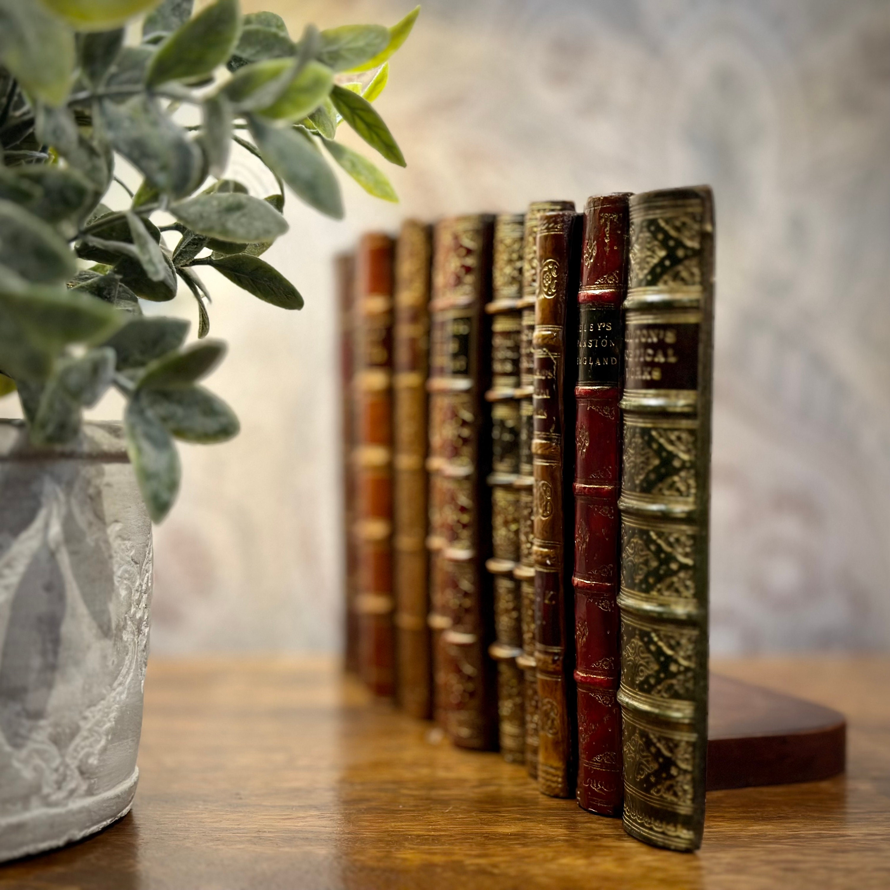 Faux Book Hideaway Shelf Panel - Etsy