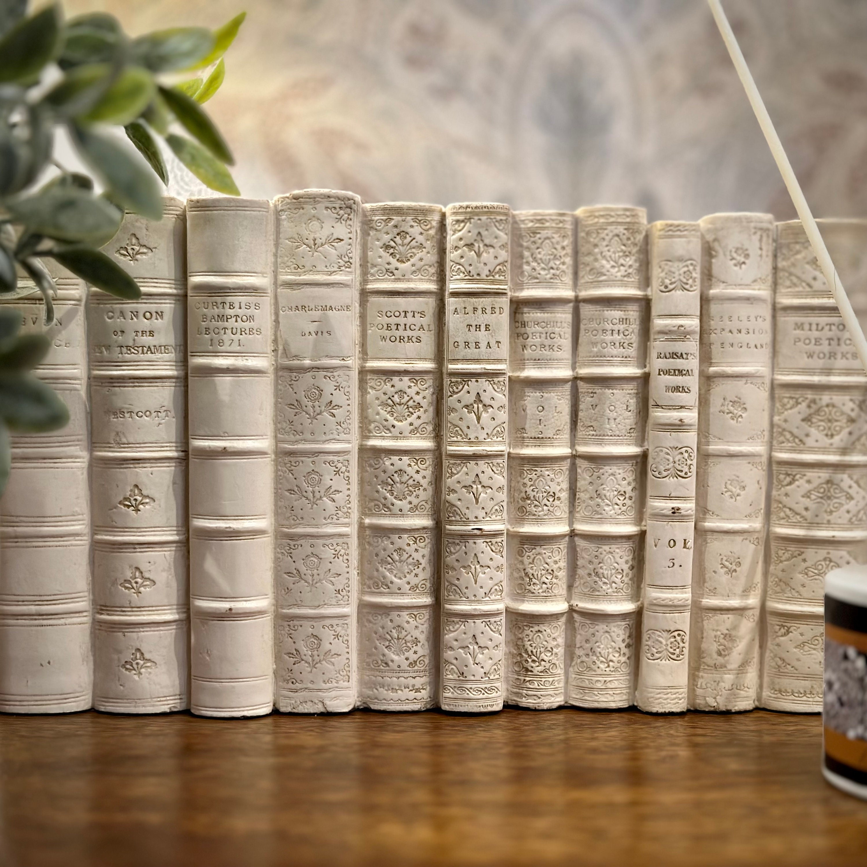 Faux Book Hideaway Shelf Panel - Etsy