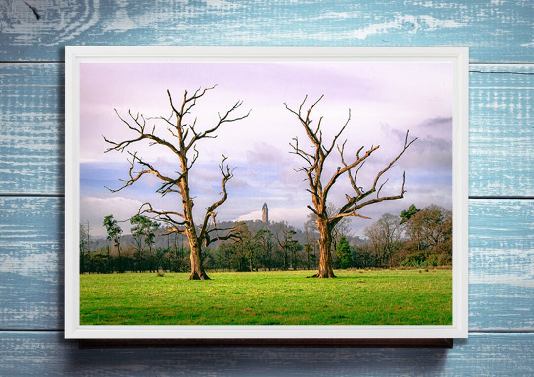 Wallace Trees - Etsy