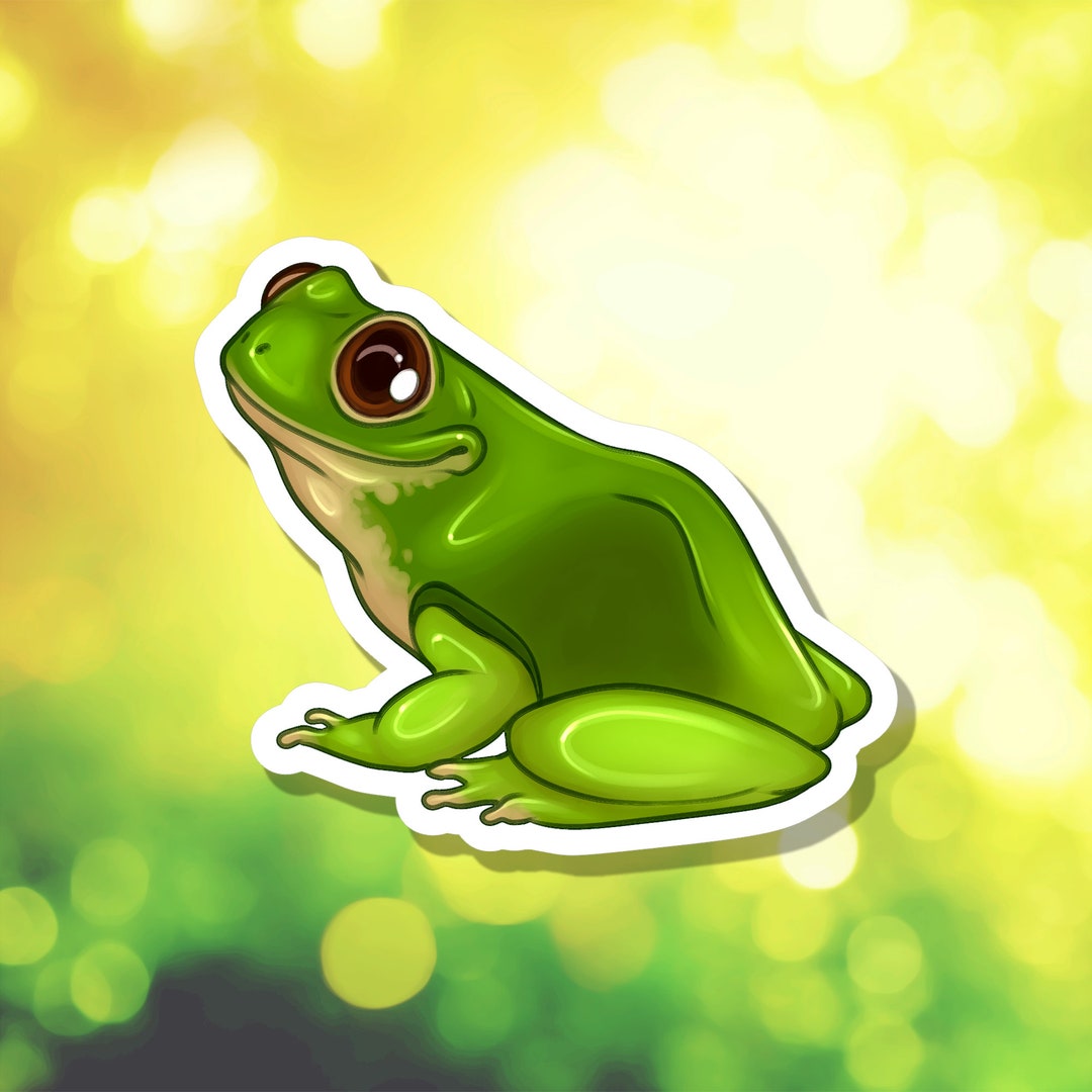 Smiling Frog Waterproof Sticker | Laptop Water Bottle Decorative Animal ...