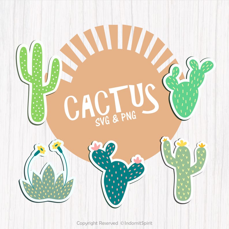 Cactus Svg / Succulent Packing Png / Custom Cacti Set / Aloe Vera Print ...