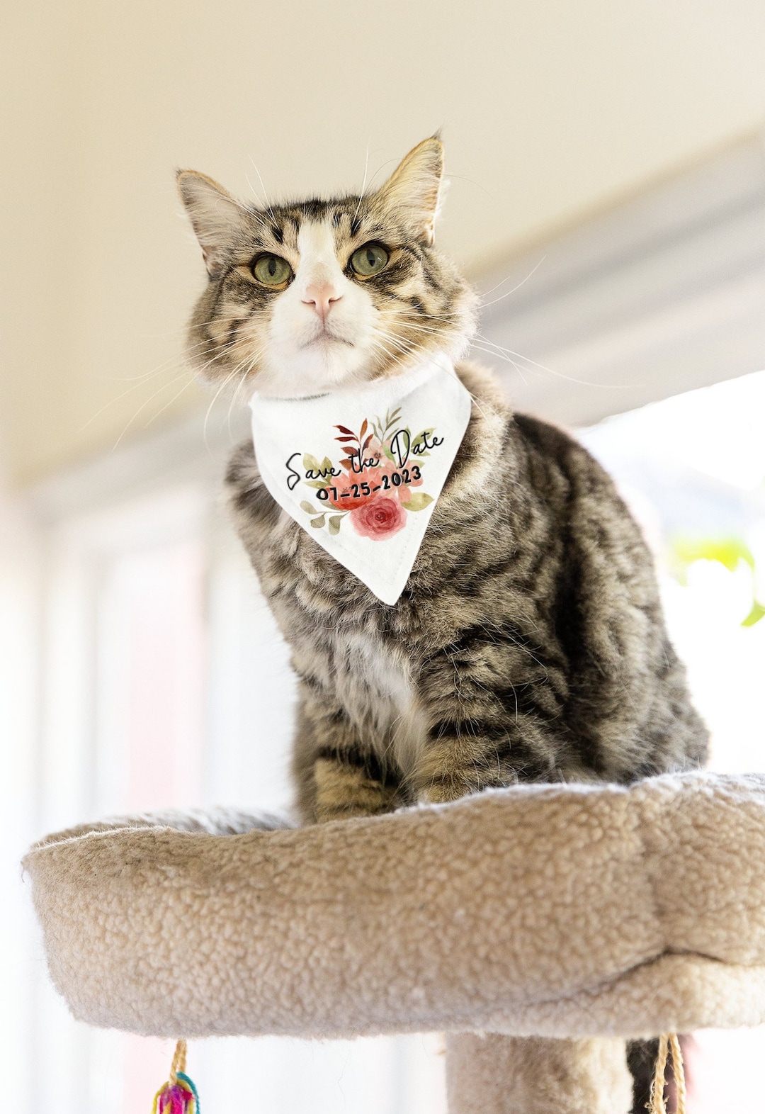 PET BANDANA, Save the Date, Wedding Bandana, Dog Bandana, Cat Bandana ...