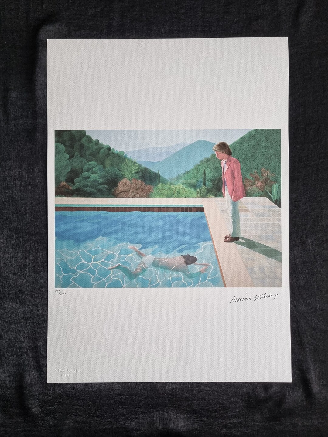 Pool With Two Figures. David Hockney Limited Reproduction, Numbered ...