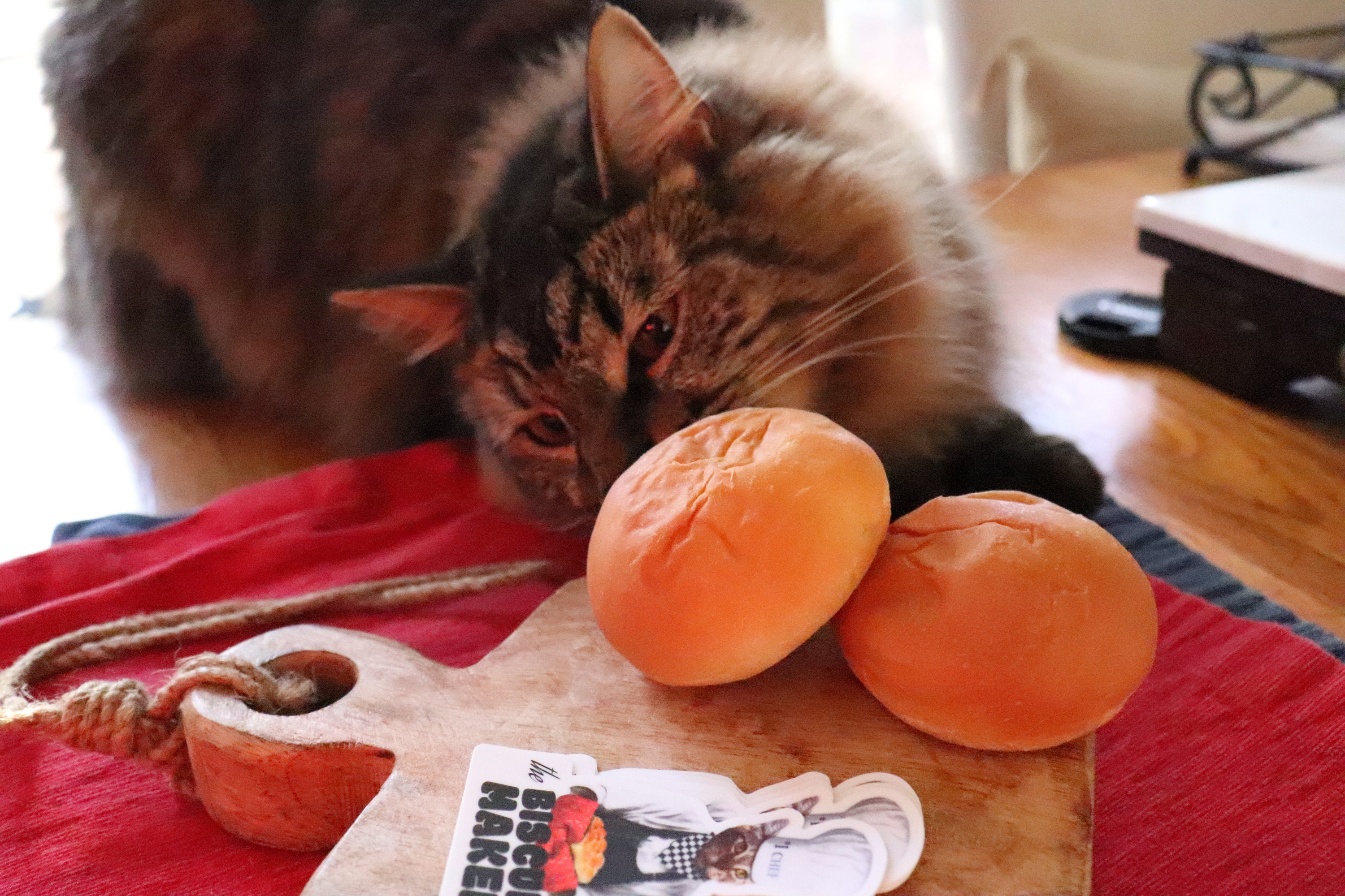 Cat Chef, Cat Portraits, Cat Biscuit Vinyl Stickers, Cat Vinyl Stickers ...