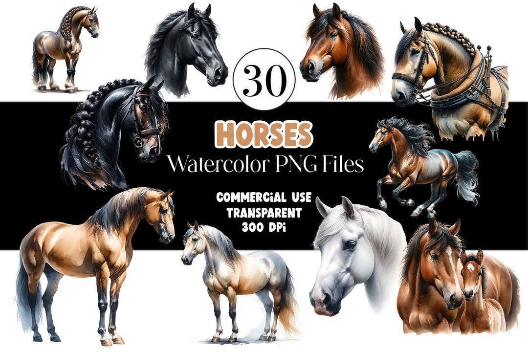 Watercolor Horse Clipart Horse Illustration Horse PNG Running Horse ...