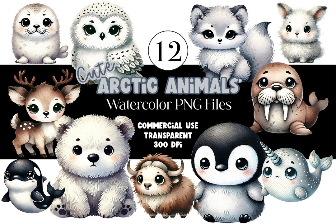 Arctic Animal Nursery Clipart Polar Animals PNG Hare Polar Bear Owl ...