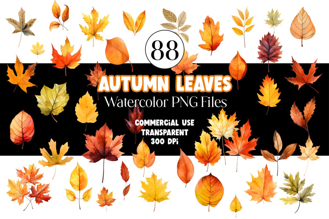 Watercolor Autumn Leaves Clipart Fall Foliage Clipart Maple Leaf ...