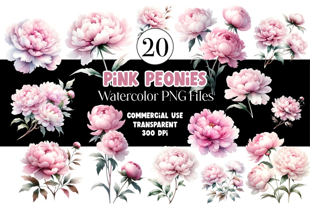 Watercolor Pink Peonies Clipart Floral Clipart Peony Flower Clipart ...