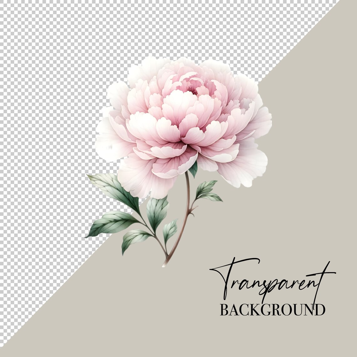 Watercolor Pink Peonies Clipart Floral Clipart Peony Flower Clipart ...