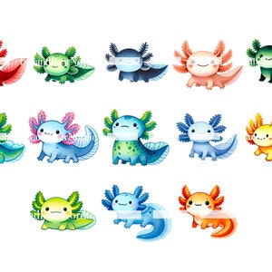Watercolor Axolotl Clipart Animal Clipart PNG Kids Clipart Baby Axolotl ...