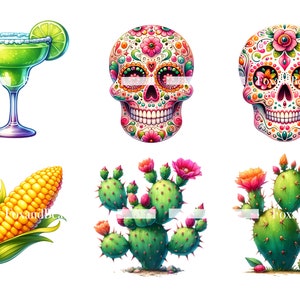 Cinco De Mayo PNG Fiesta PNG Taco Clipart Mexican Clipart Tequila Food ...