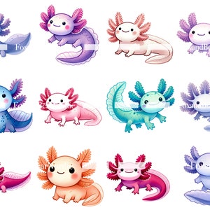 Watercolor Axolotl Clipart Animal Clipart PNG Kids Clipart Baby Axolotl ...