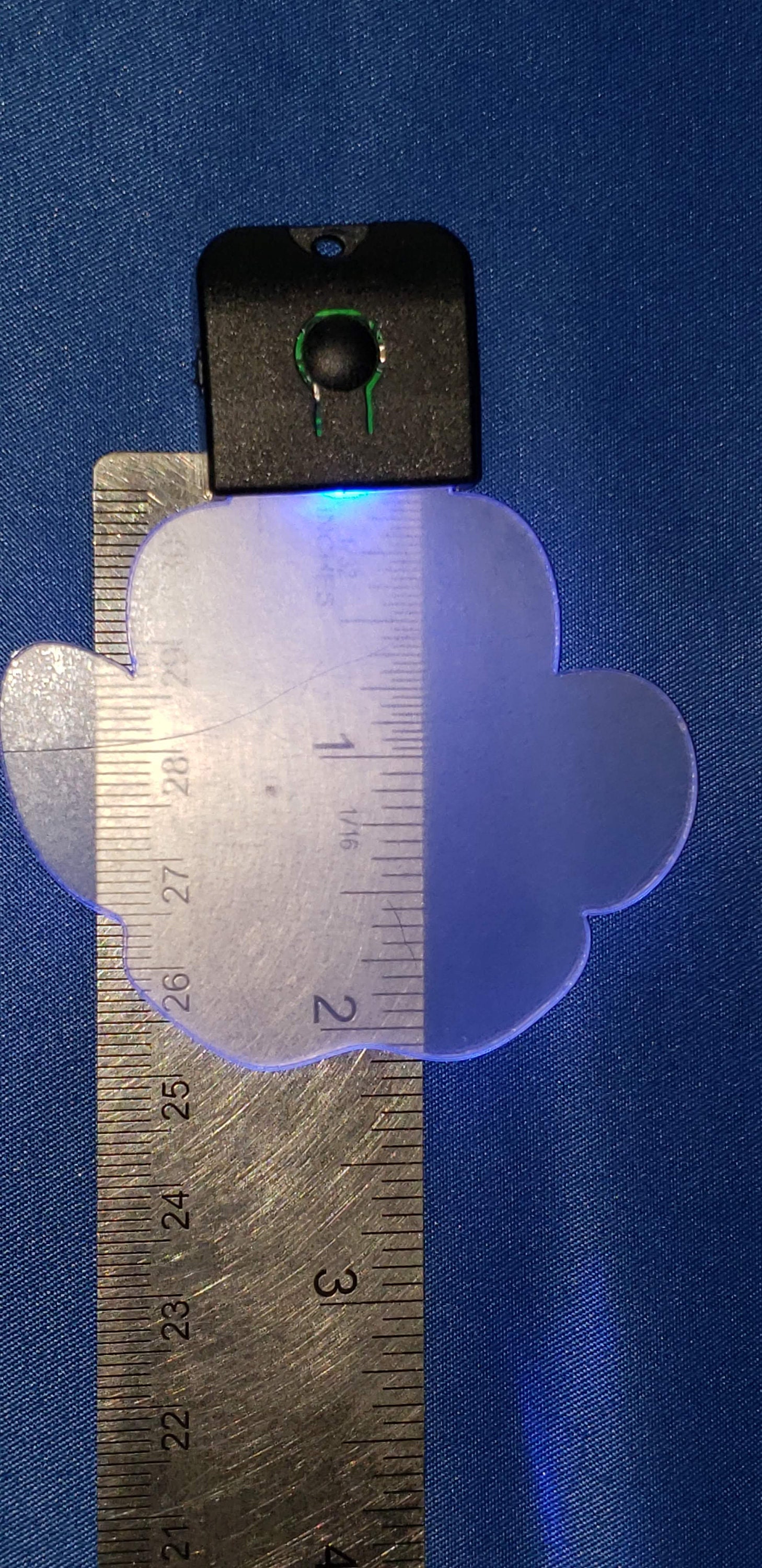 Dog Paw, Clear Acrylic Plate Only - Etsy