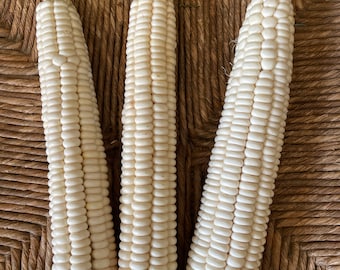 Cherokee Corn Beads | Etsy