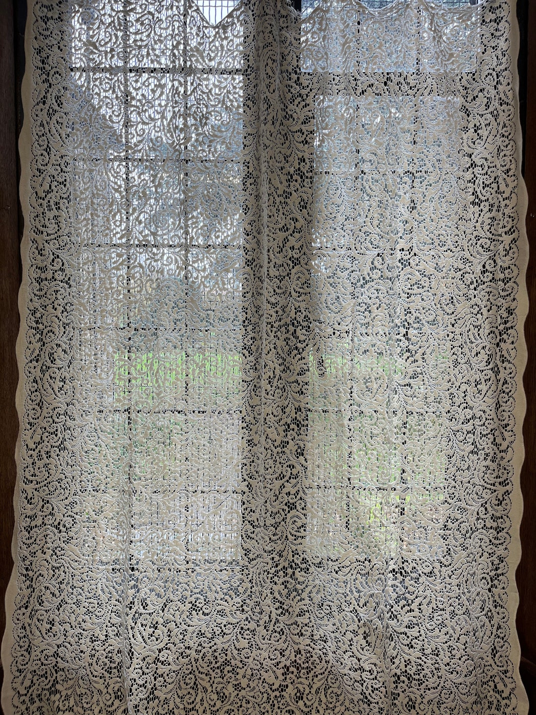 Jane Lace Design 14 Point Lace by the Metre Unfinished Panel Bone ...