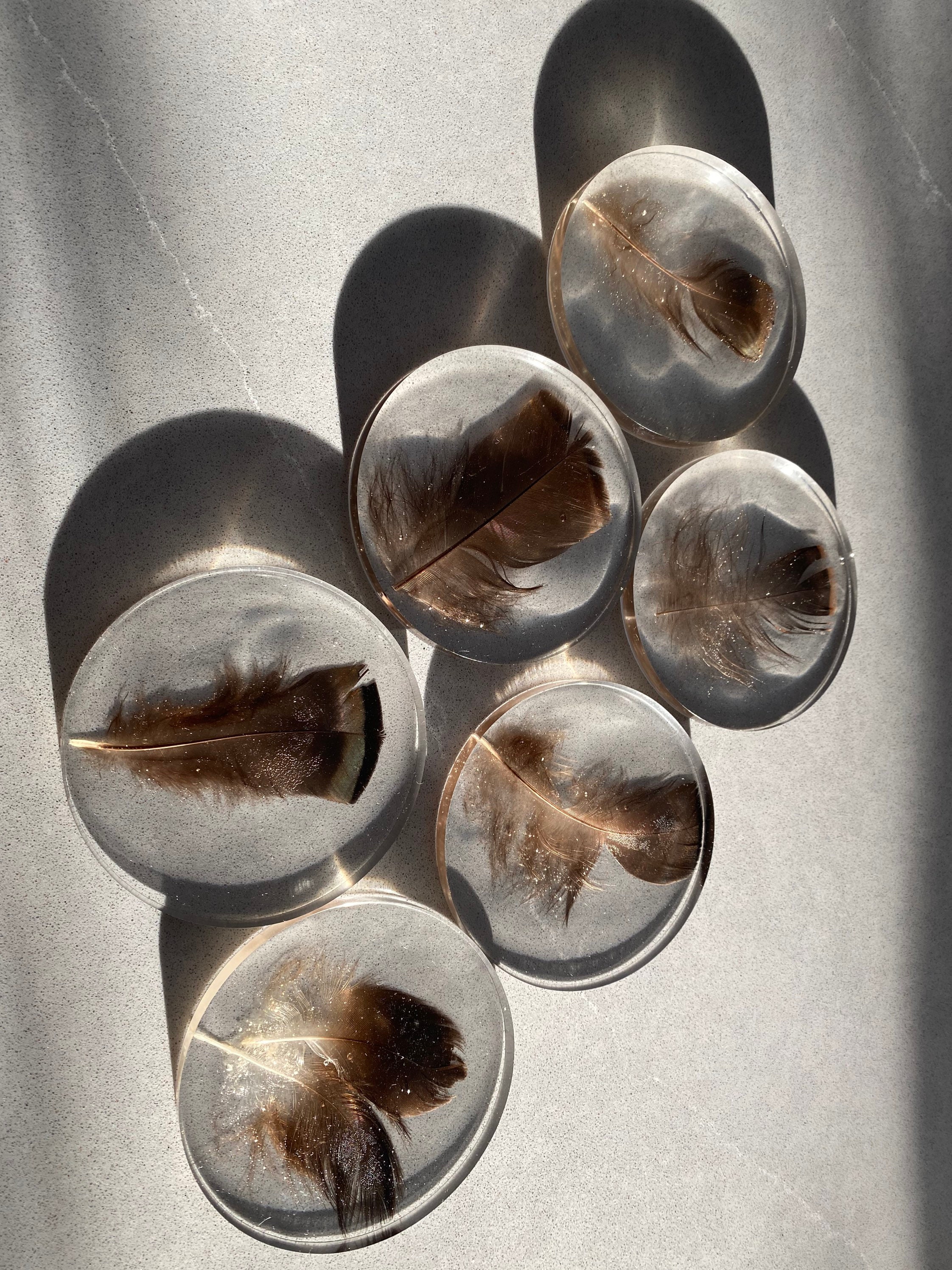 Wild Turkey Feather Resin Coasters - Etsy