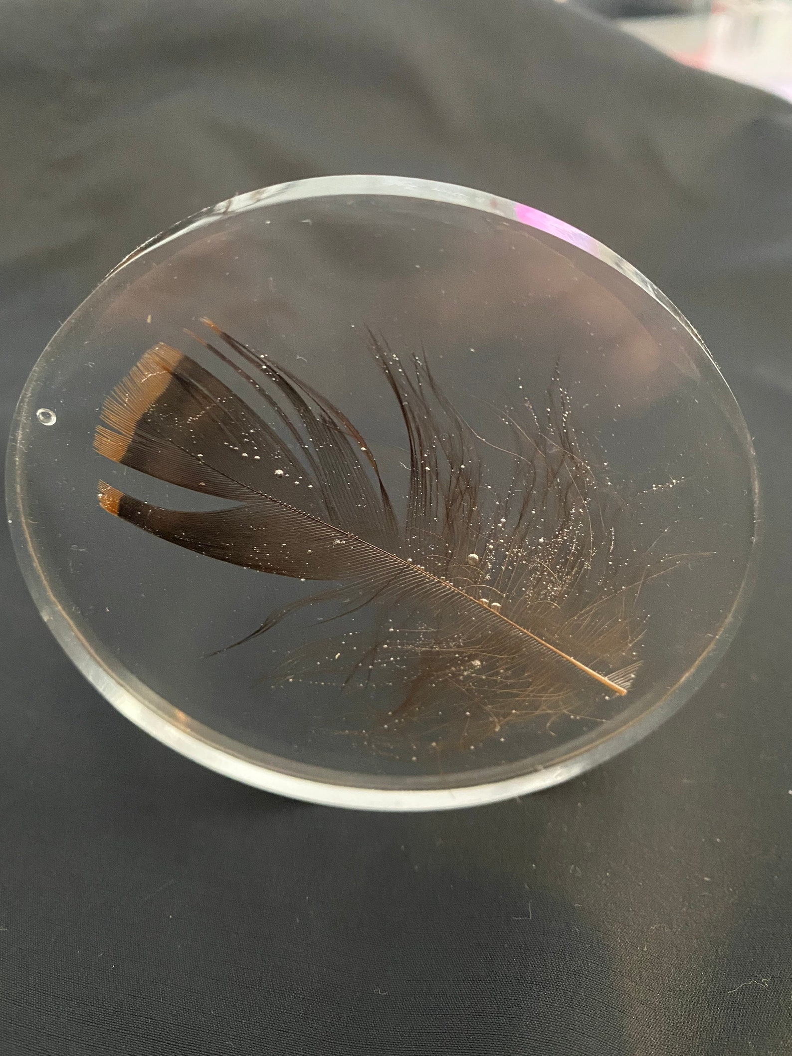 Wild Turkey Feather Resin Coasters - Etsy