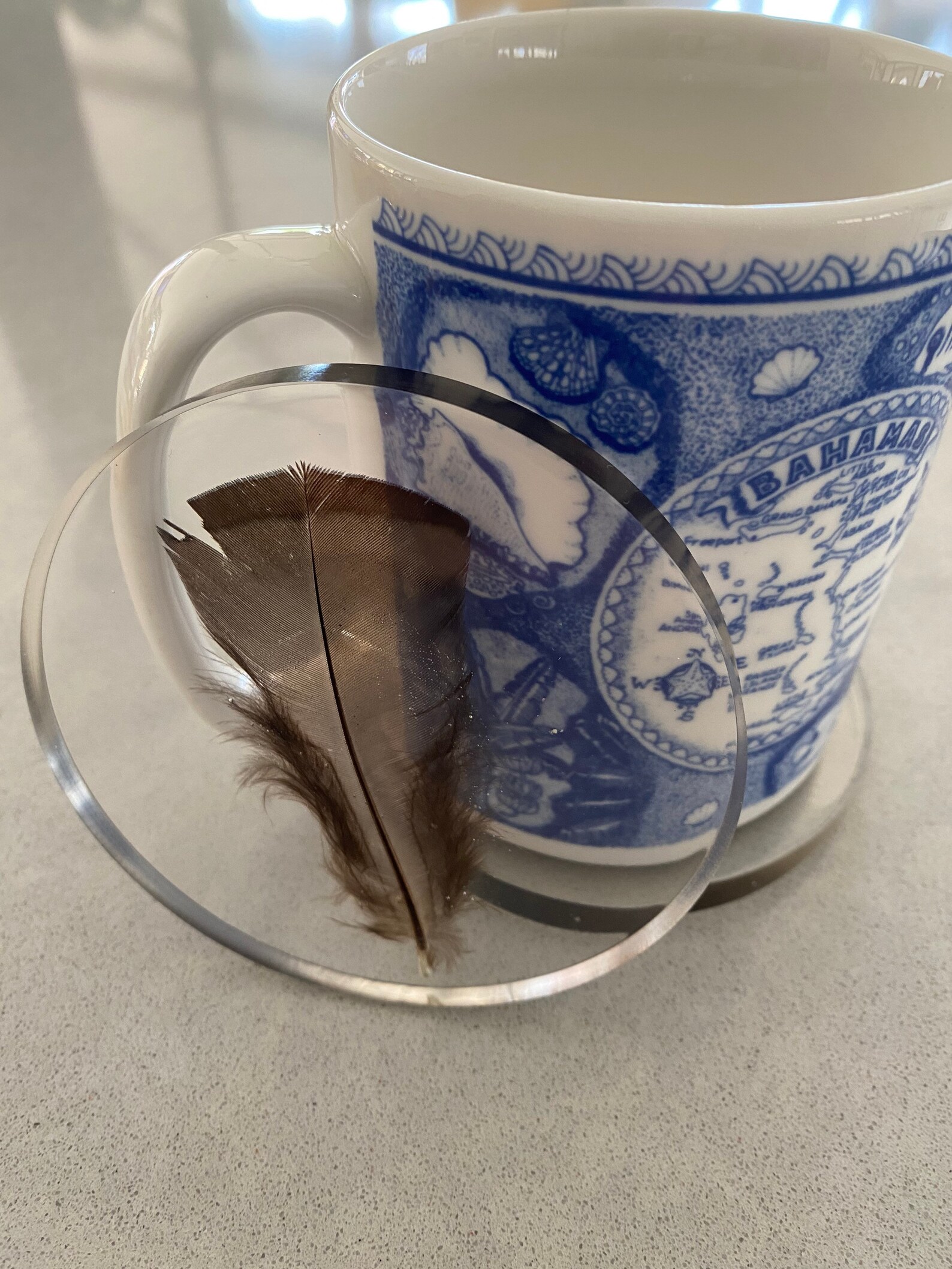 Wild Turkey Feather Resin Coasters - Etsy