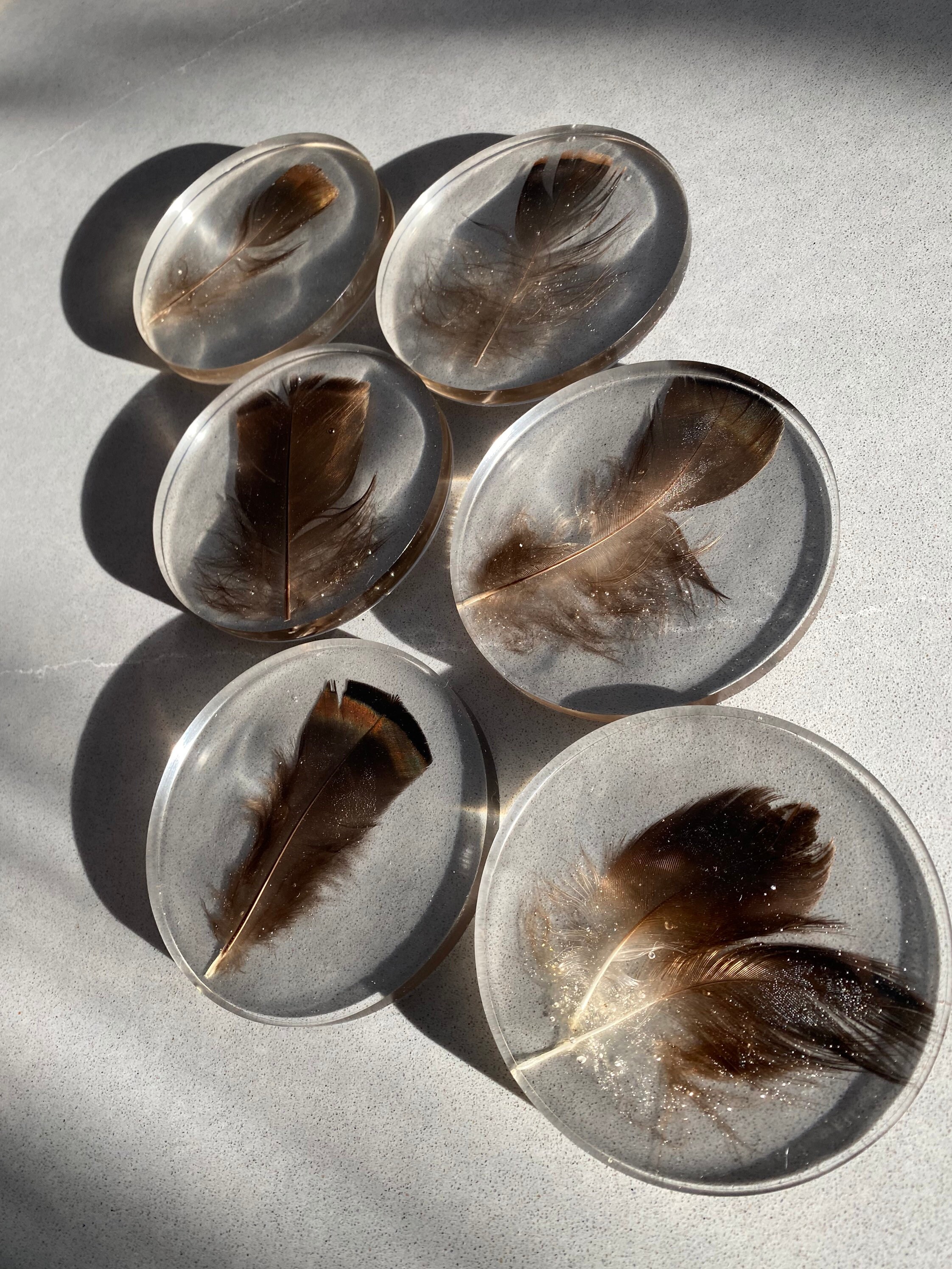 Wild Turkey Feather Resin Coasters - Etsy