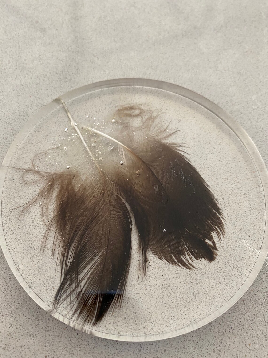 Wild Turkey Feather Resin Coasters - Etsy
