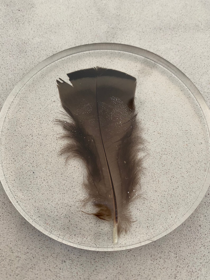 Wild Turkey Feather Resin Coasters - Etsy