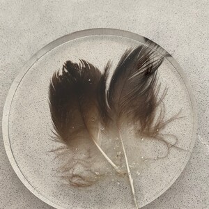 Wild Turkey Feather Resin Coasters - Etsy