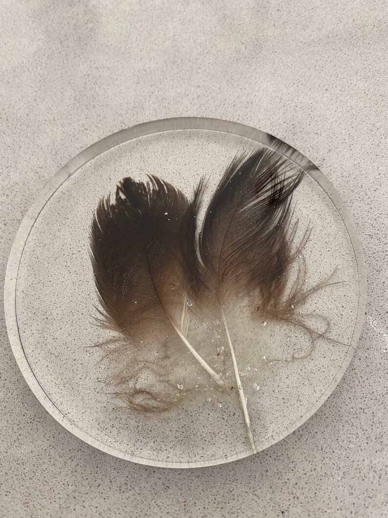 Wild Turkey Feather Resin Coasters - Etsy