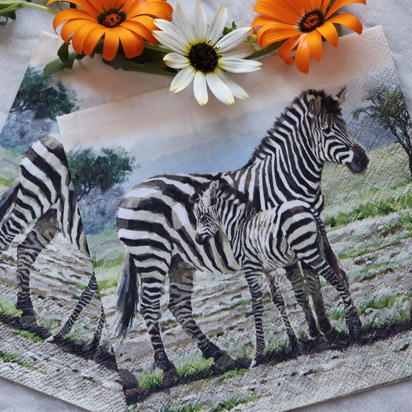 African Napkins - Etsy