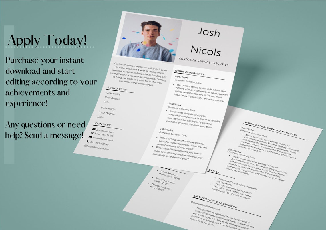 Professional CV Template Word , Cv Template With Photo, MS Word Resume ...