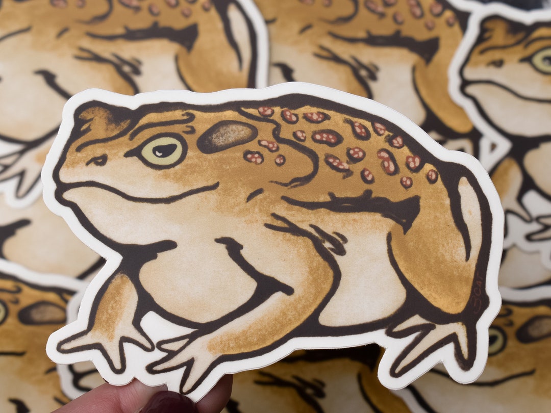 Toad Sticker/ Fantasy Sticker/ Frog Sticker/ Toad Choir - Etsy