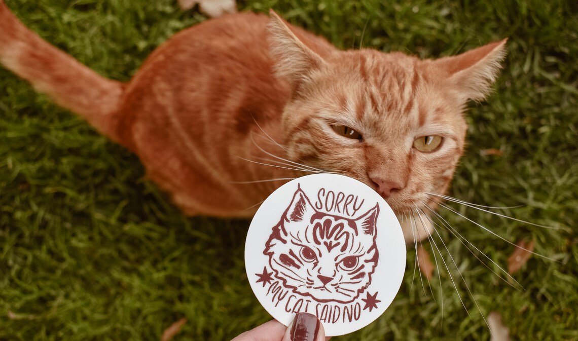 Sorry My Cat Said No Sticker / Grumpy Cat Sticker / Funny Cat - Etsy