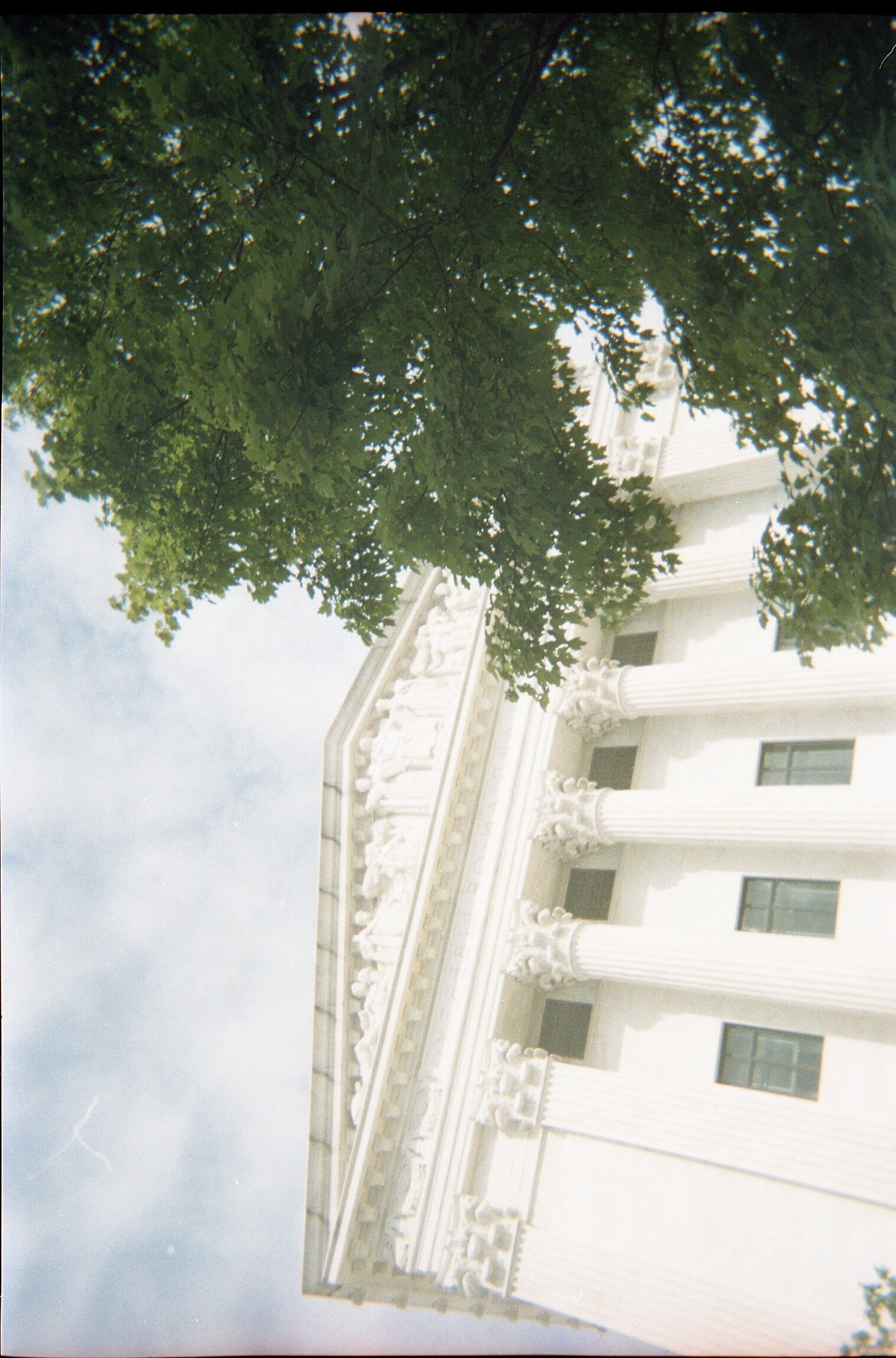 Color 35mm, 120/medium Format Film Developing - Etsy