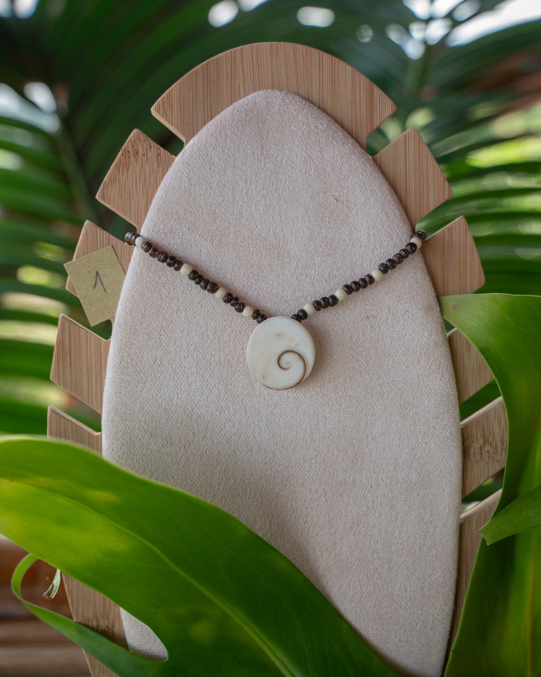 Natural Shiva Eye Shell Necklace From Mentawai Islands Handmade With ...