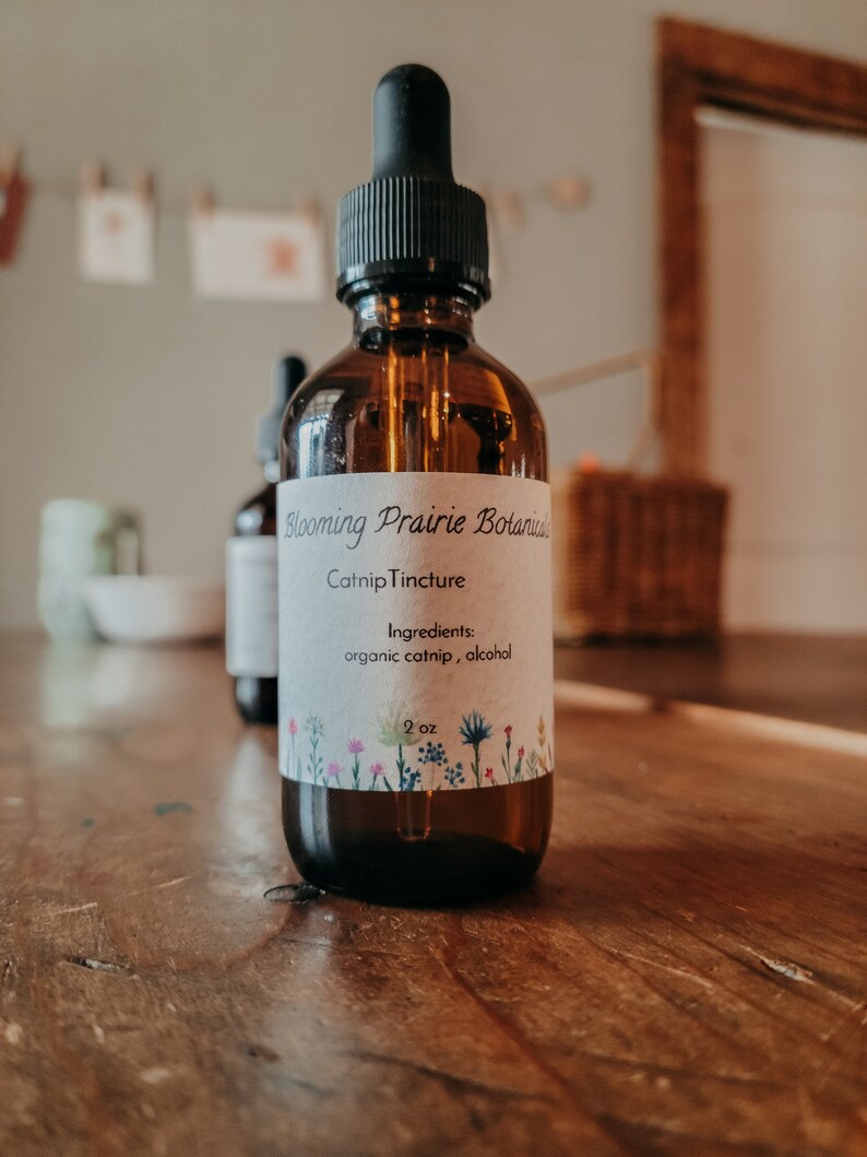 Organic Catnip Tincture - Etsy