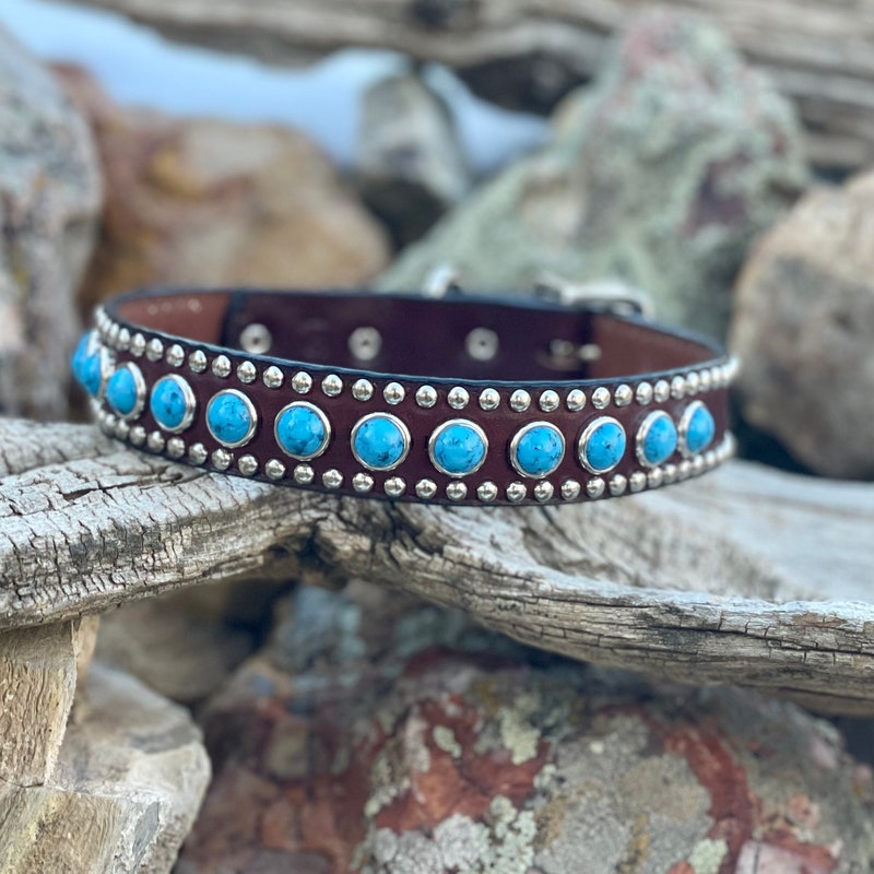 Turquoise Dog Collar - Etsy