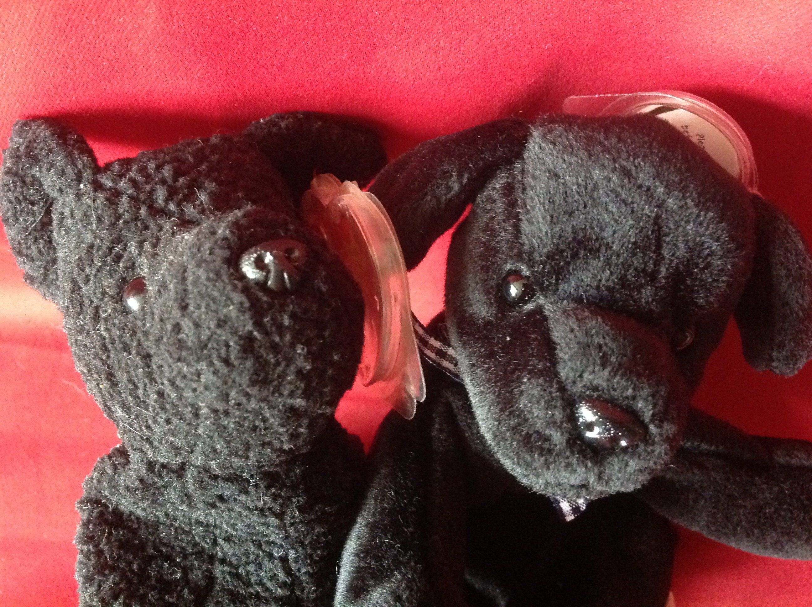 TY Beanie Babies Retired Vintage 1996 Dogs X 2 Luke Scotty Black ...