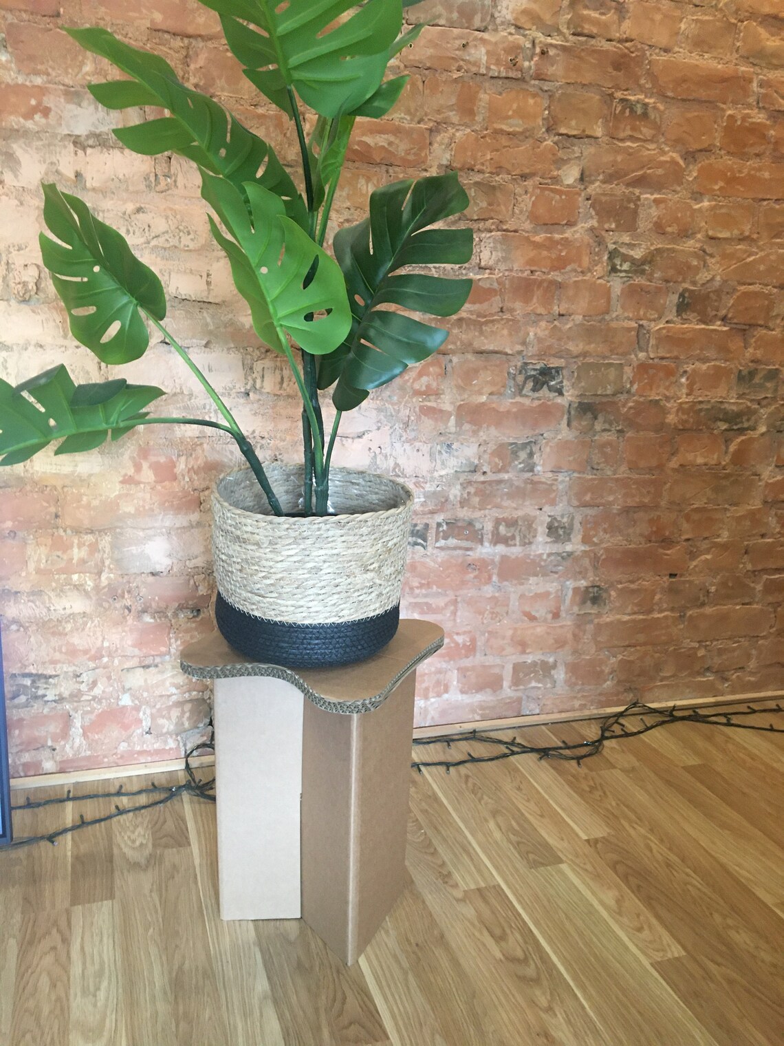 Cardboard Stools. Set of 4. Temporary Furniture. Camping Stools. Picnic ...