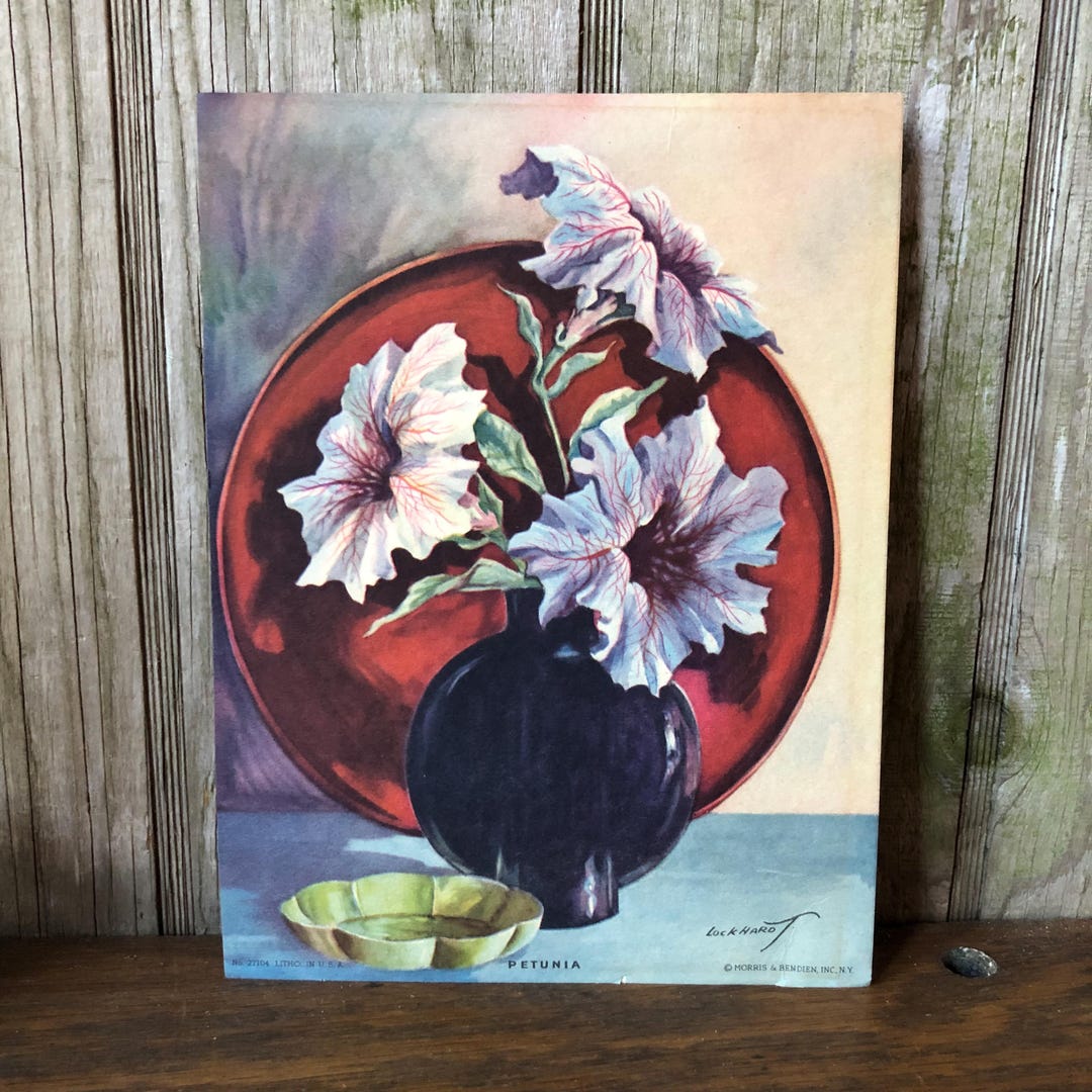 Vintage Litho Print "petunia" by Lockhart - Morris Bendien Inc. - Etsy