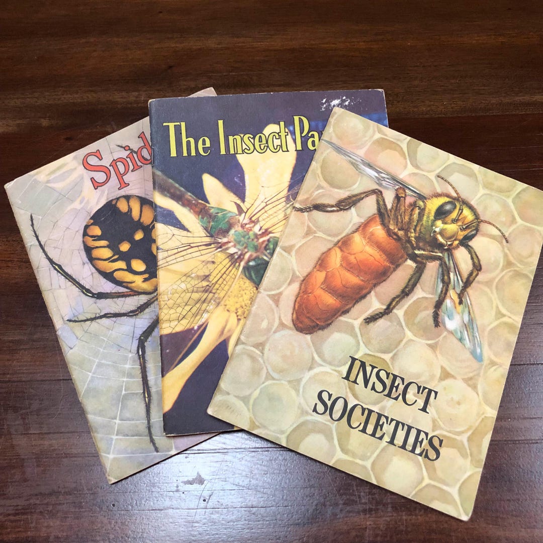 The Insect Parade - Spiders - Insect Societies - Vintage Youth ...