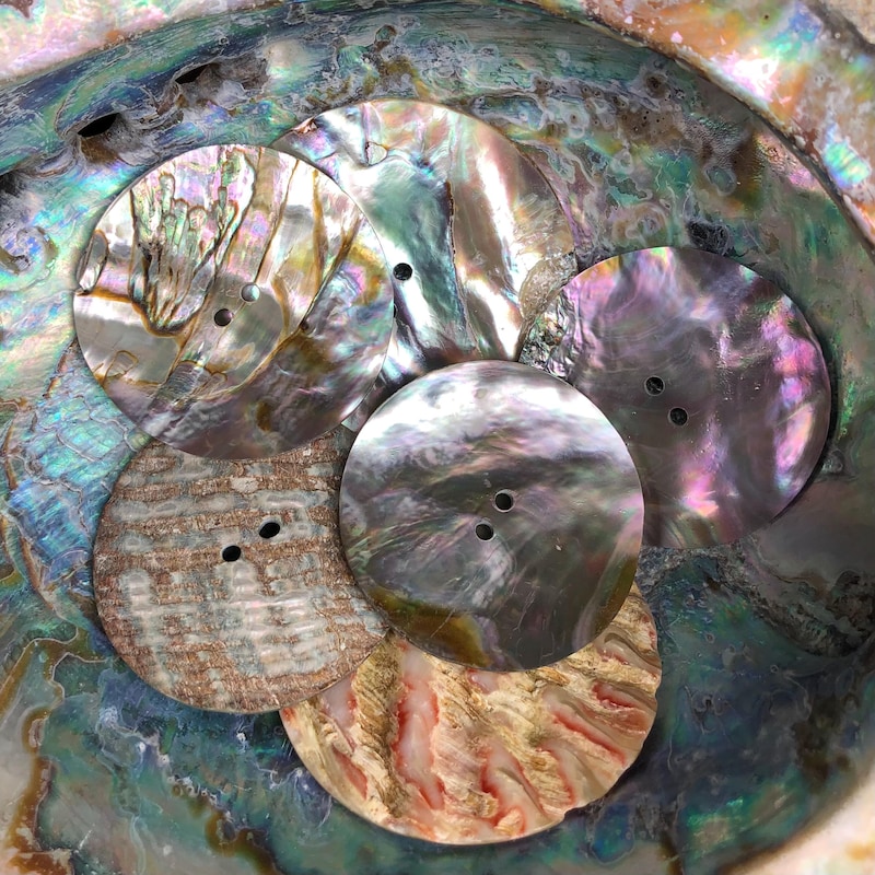 Abalone Buttons - Etsy