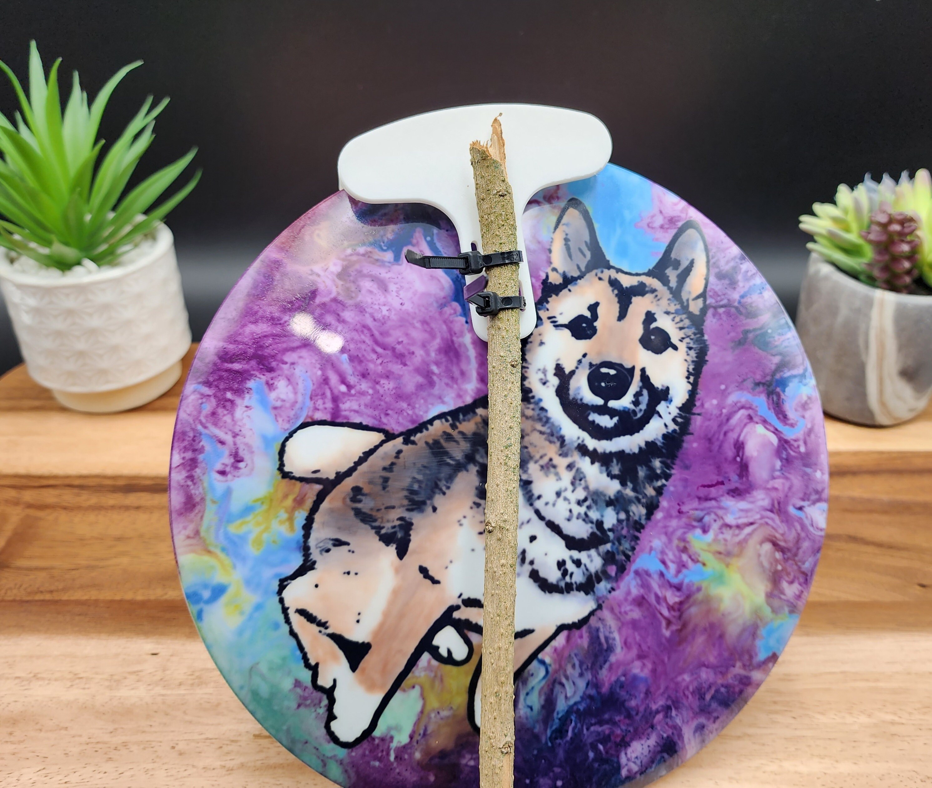 Disc Golf Disc Grabber Retriever - Etsy