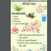 Spring Mud Kitchen Recipe Set of 6 Cards - Etsy UK