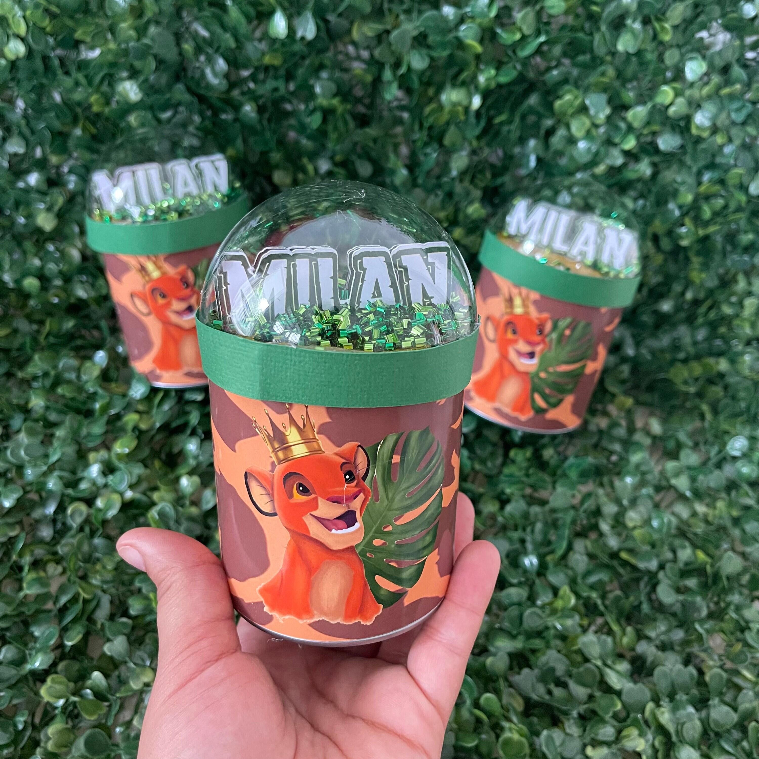 Pringles Shaker | Personalized Pringles | Simba Pringles Shaker - Etsy