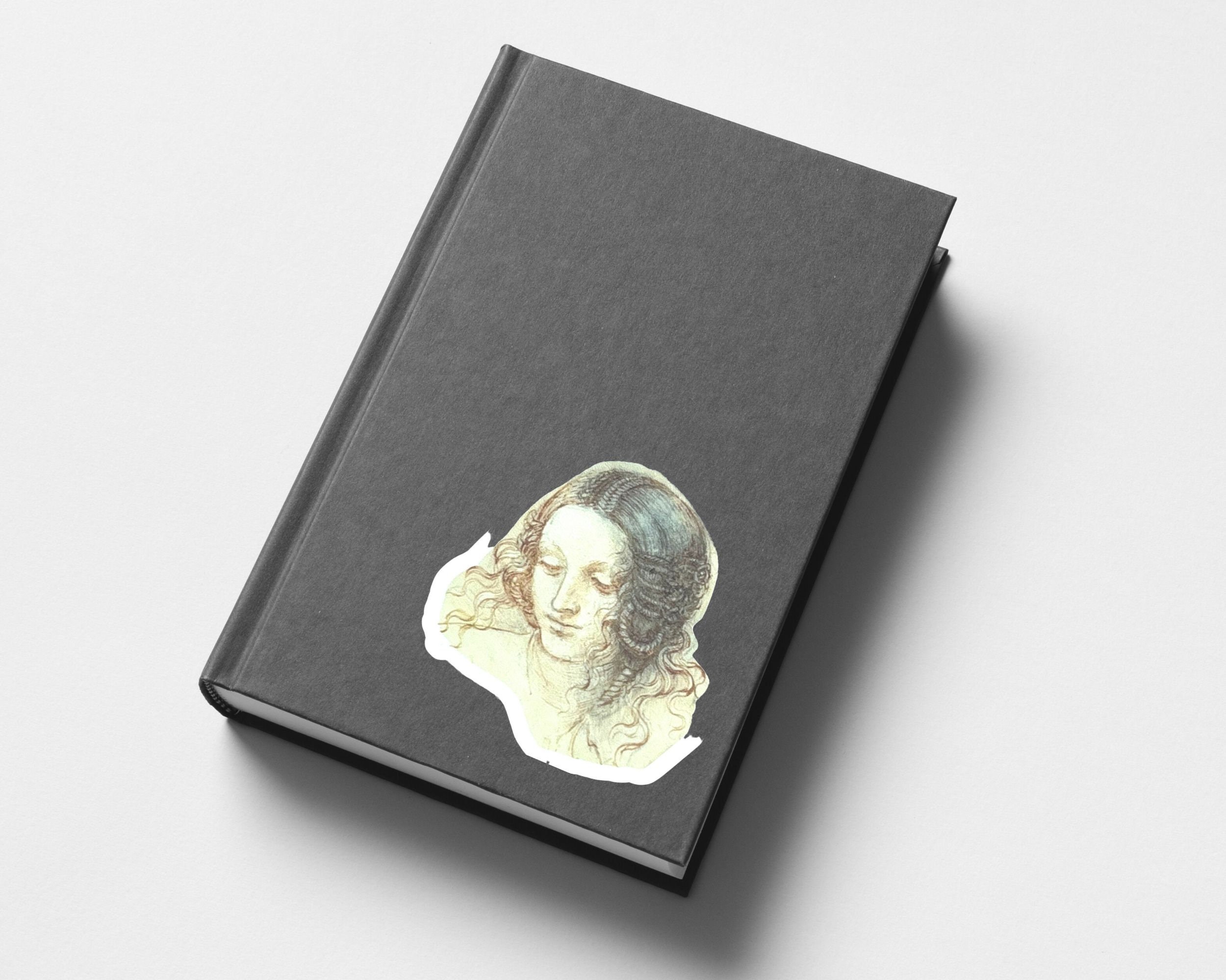 Leonardo Da Vinci Sticker Pack. Vinyl Stickers for Phone - Etsy