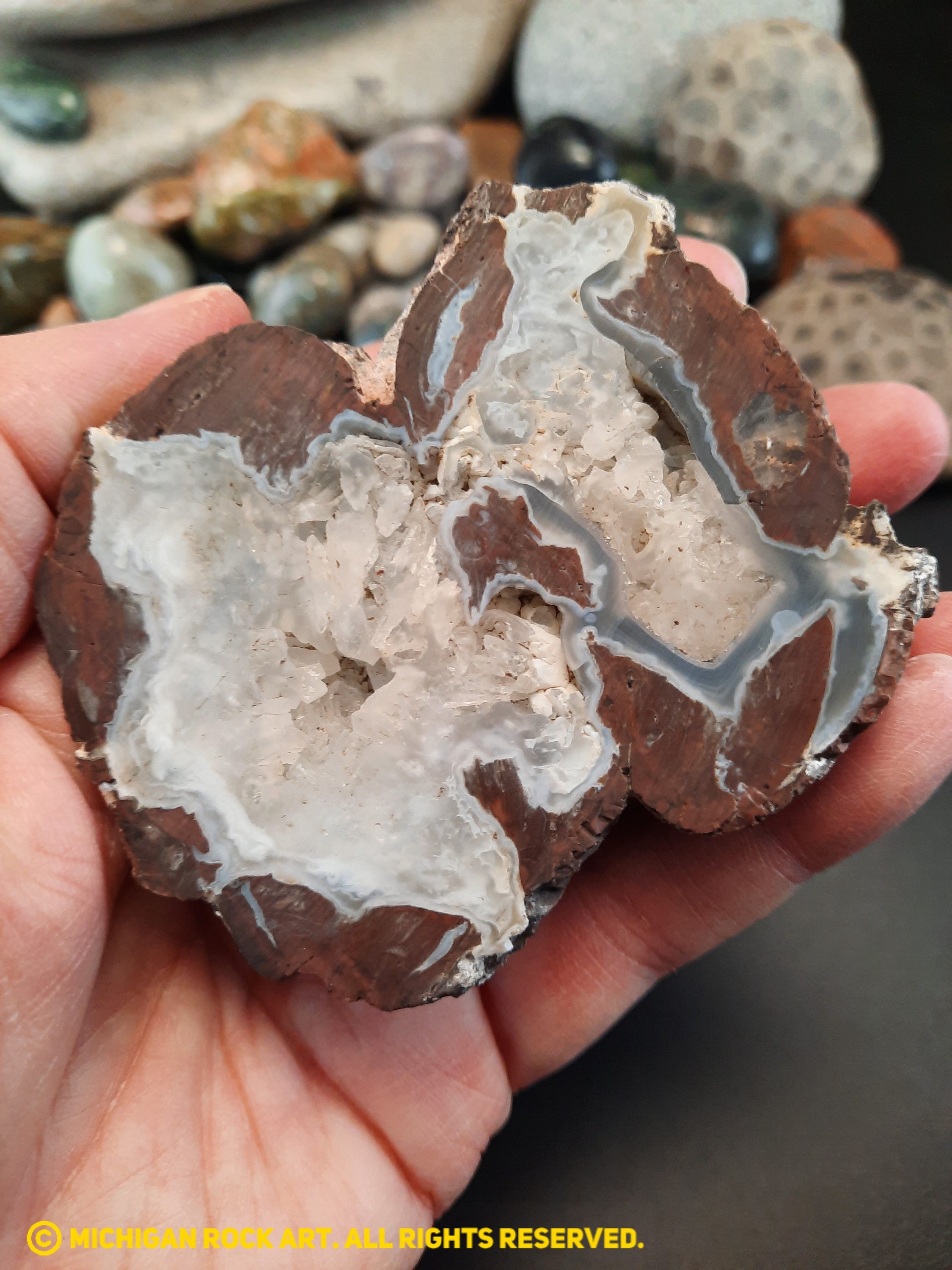 Dugway, Mine, Geode, Minerals, Crystals, Petrified Wood, UT, Utah - Etsy