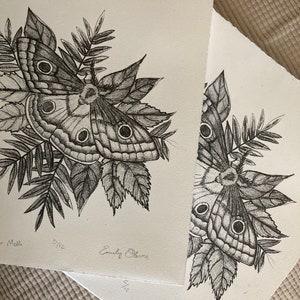 Emperor Moth Print - Etsy