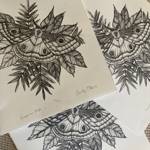 Emperor Moth Print - Etsy